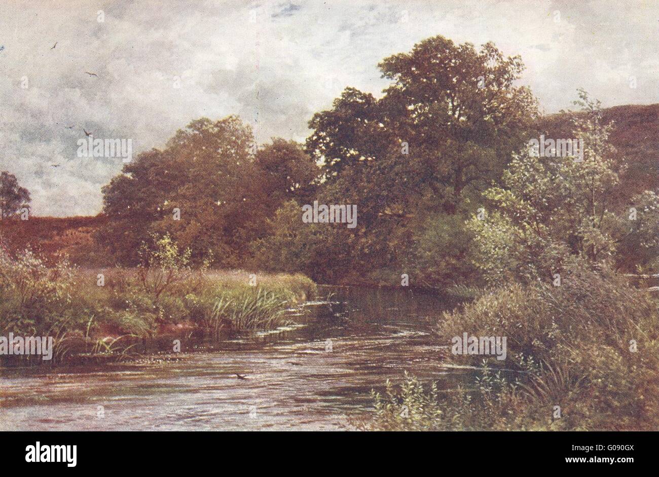 Hankley Common High Resolution Stock Photography and Images - Alamy