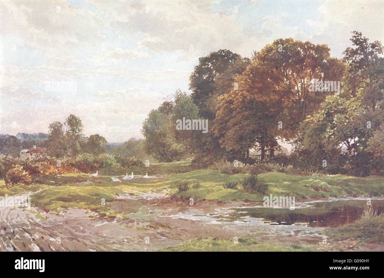 SURREY: Mole valley: A Esher Common, antique print 1912 Stock Photo - Alamy