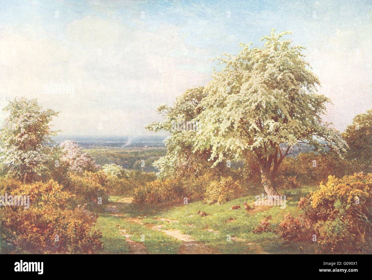 SURREY: Pilgrims way: Pride Spring, Newlands Corner, antique print 1912 ...