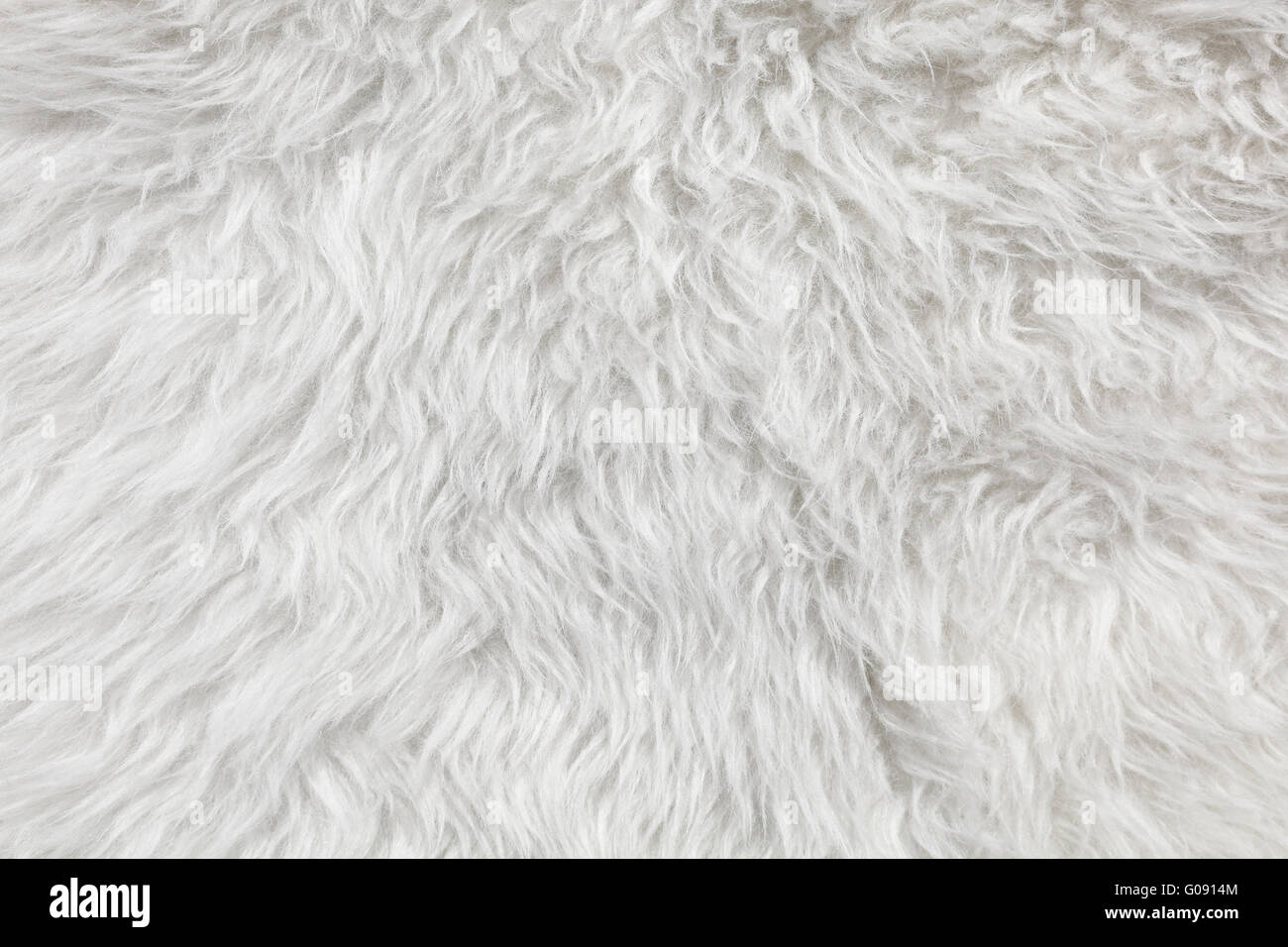 Wool background. Detail of sheep fur Stock Photo - Alamy