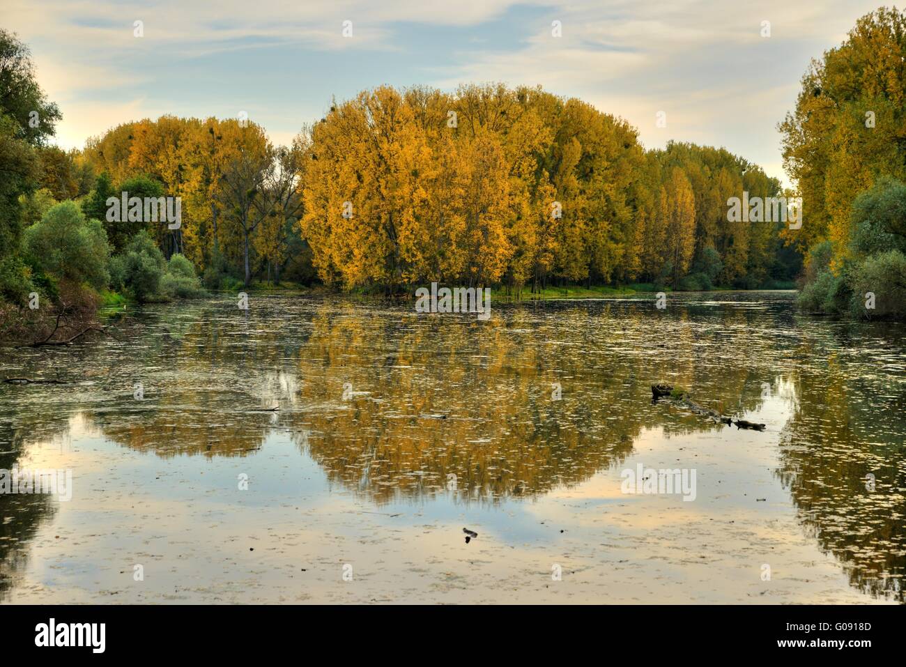 Old River Rhine Stock Photo - Alamy