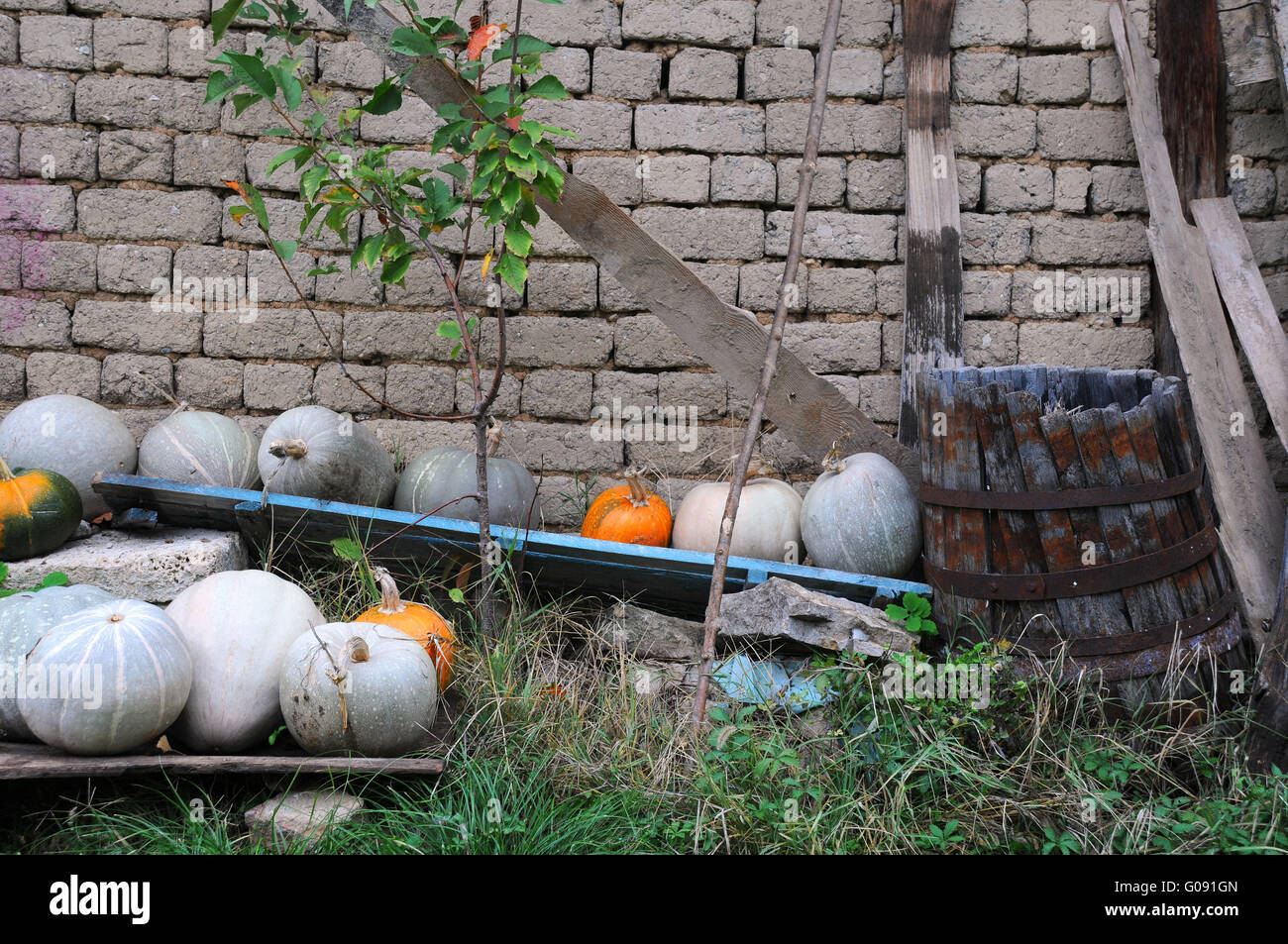 Pumpkins and Broken Barrel Stock Photo - Alamy