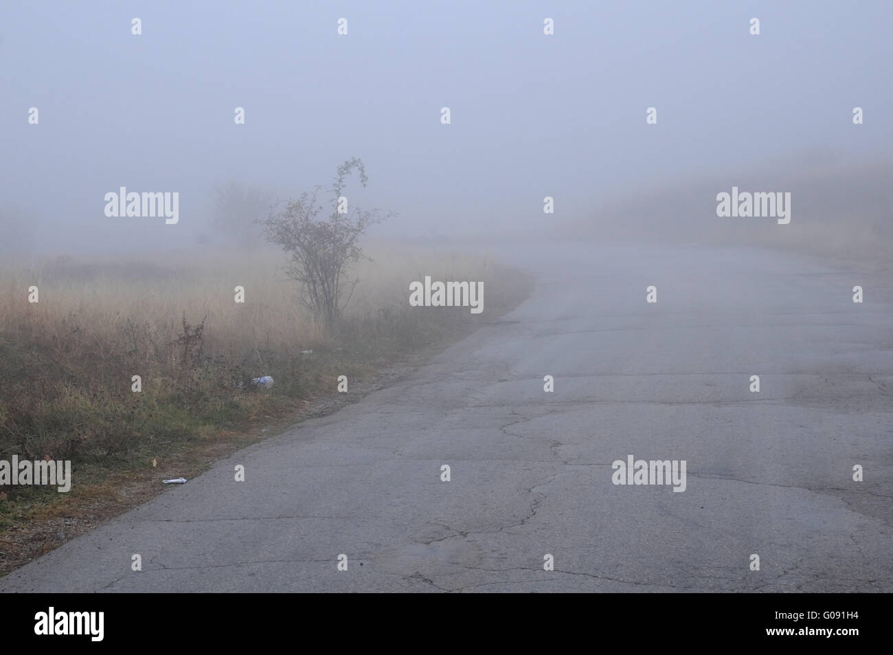 Heavy Fog on the Road Stock Photo - Alamy