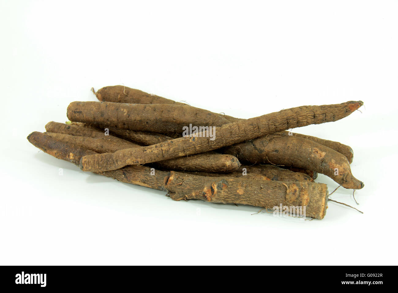 True roots hi-res stock photography and images - Alamy