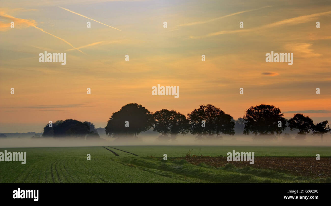 Dawn landscapes hi-res stock photography and images - Alamy