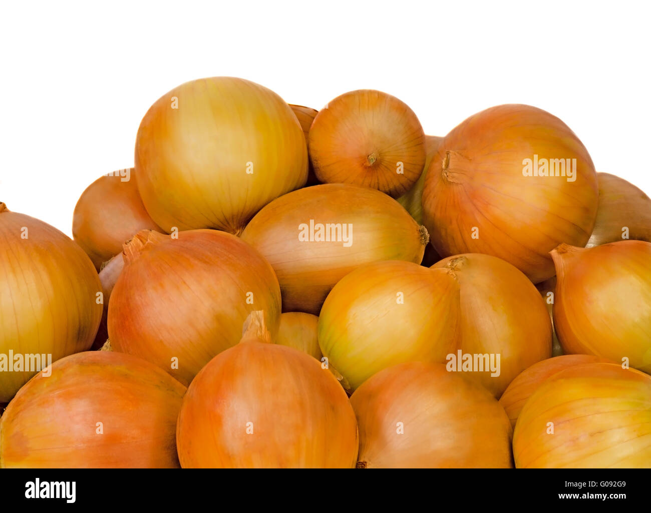Large onions onions on a white background Stock Photo - Alamy