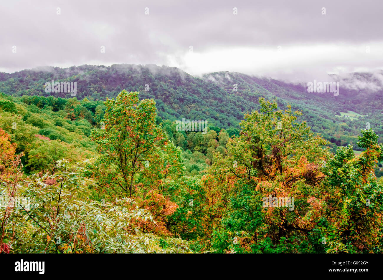 mountain landscapes in virginia state around roanoke Stock Photo - Alamy