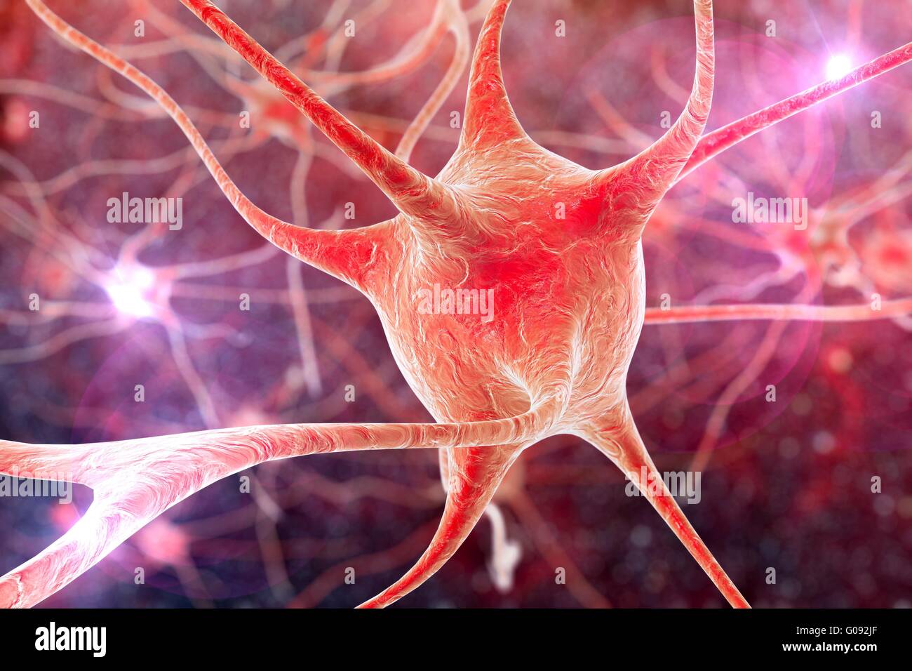 Nerve cells. Computer artwork of nerve cells, or neurons Stock Photo ...