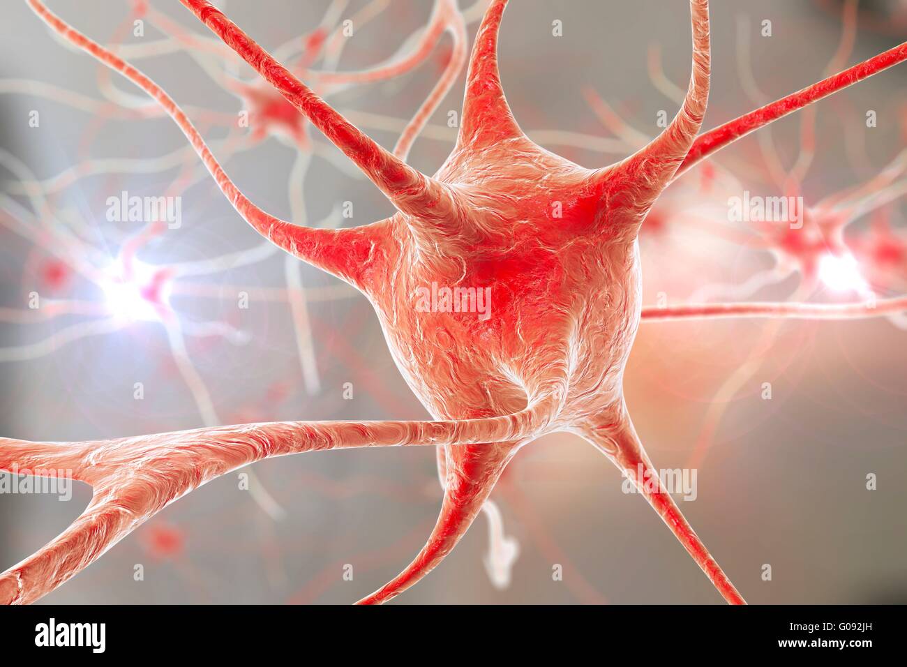 Nerve cells. Computer artwork of nerve cells, or neurons Stock Photo ...