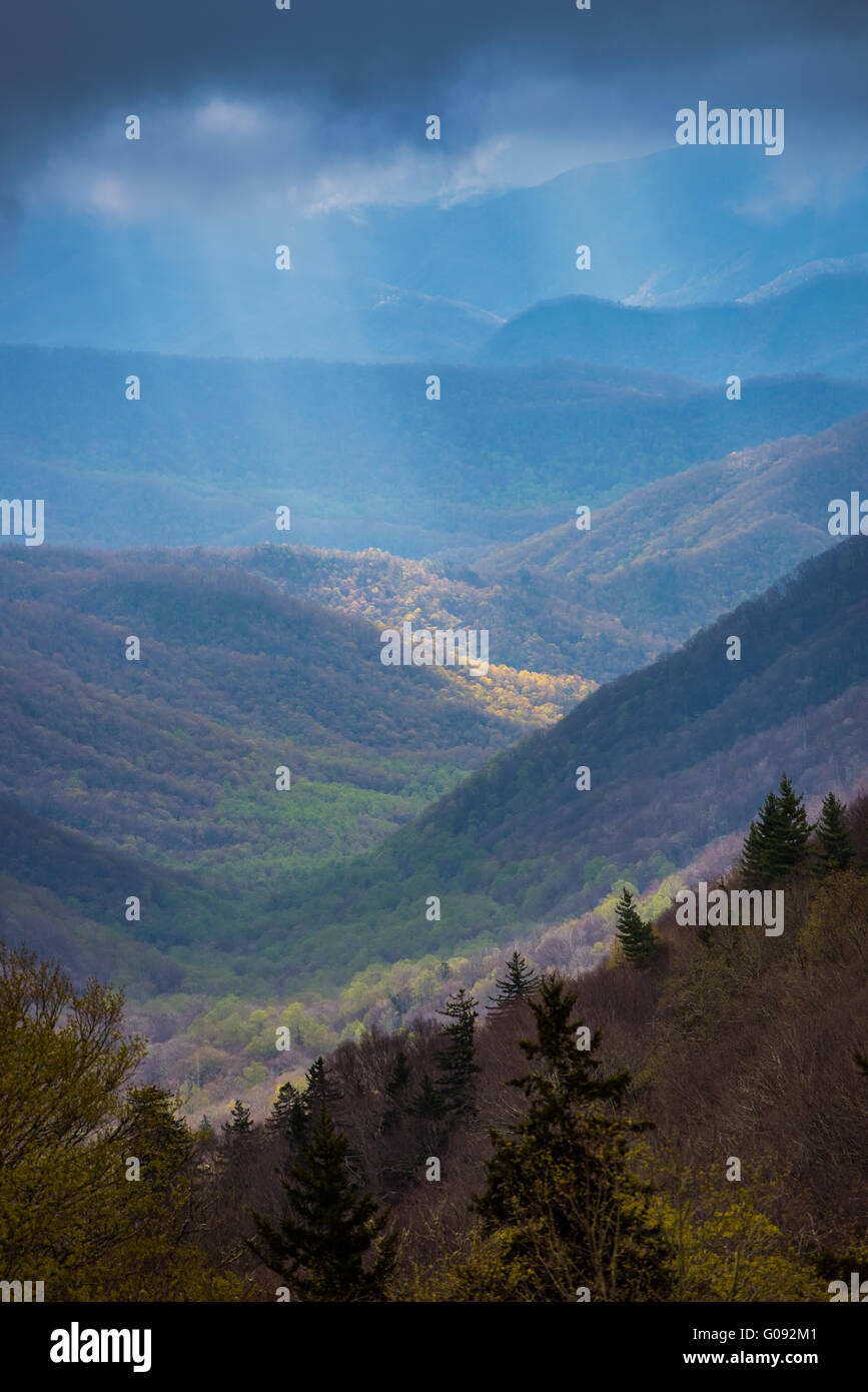 Early Spring Growth in the Oconaluftee Valley of North Carolina in the ...