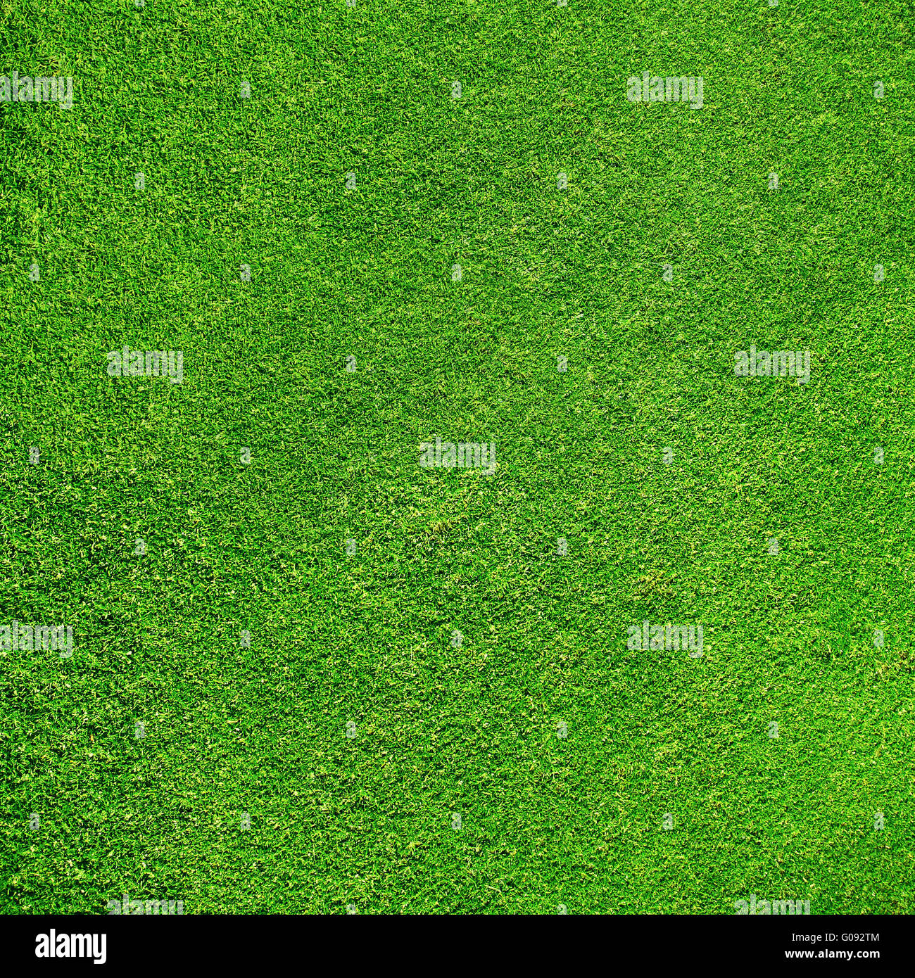Beautiful green grass texture from golf course Stock Photo - Alamy