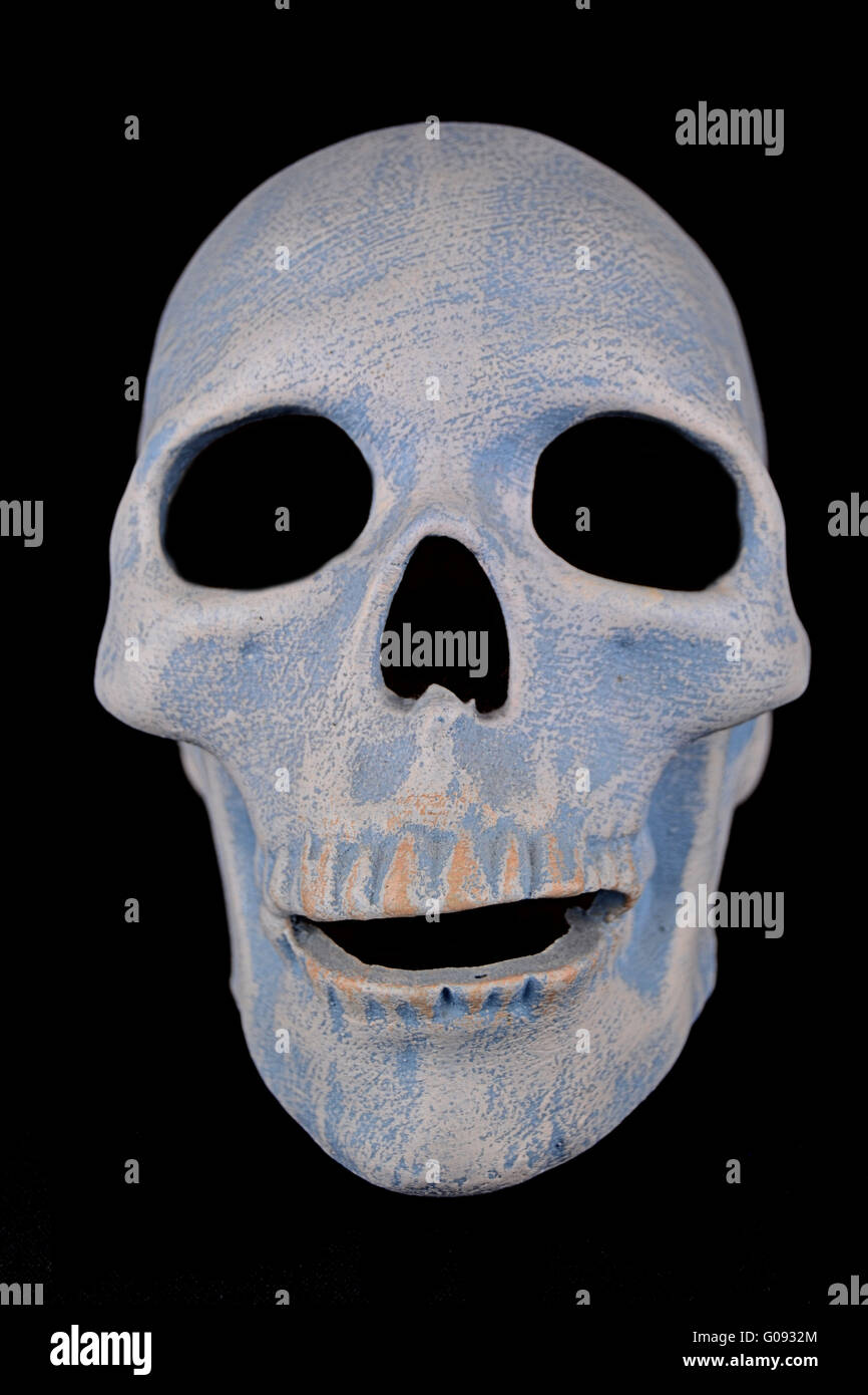 Human scull bones hi-res stock photography and images - Alamy