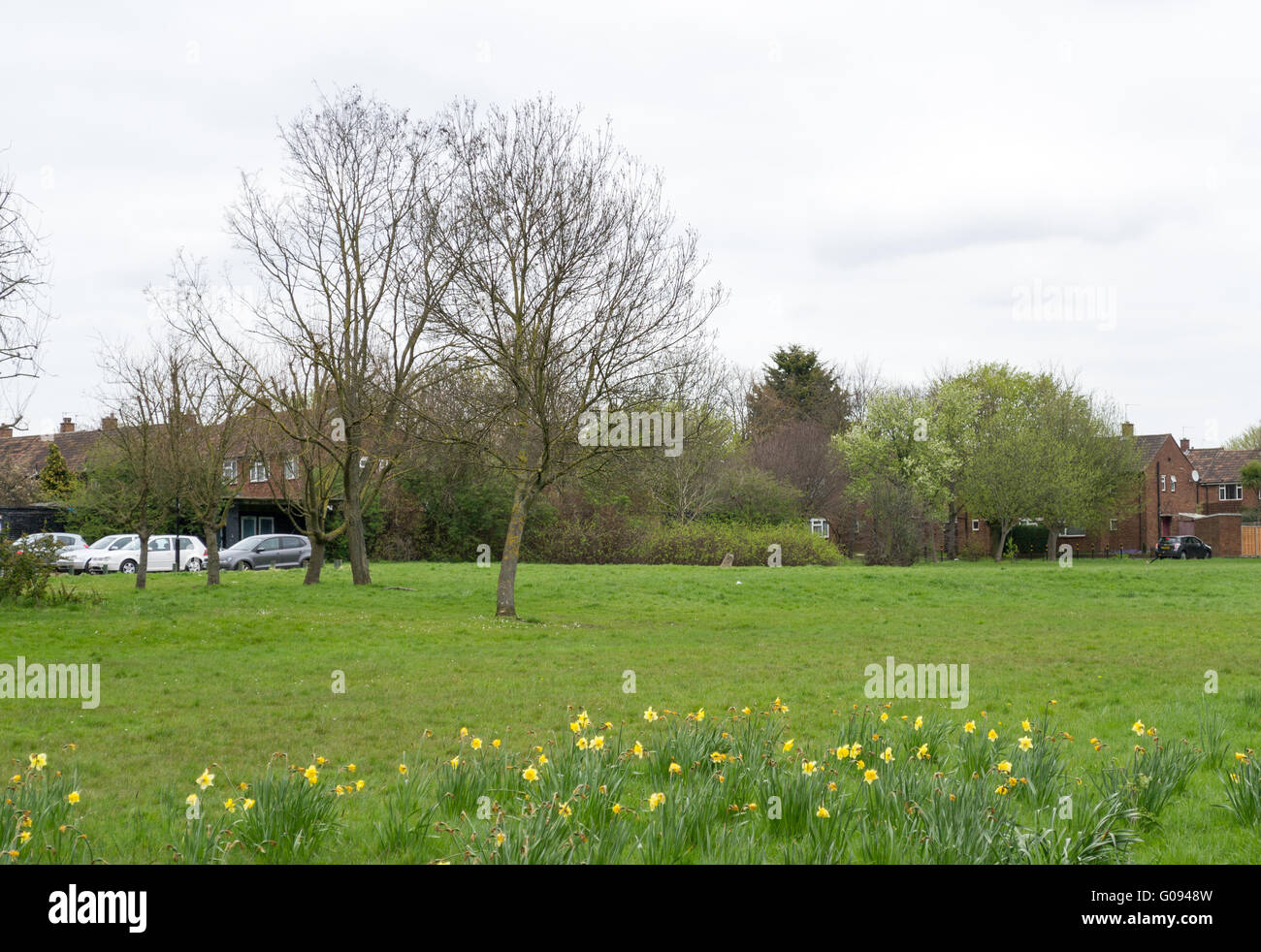 Beautiful european countryside - field and trees Stock Photo - Alamy