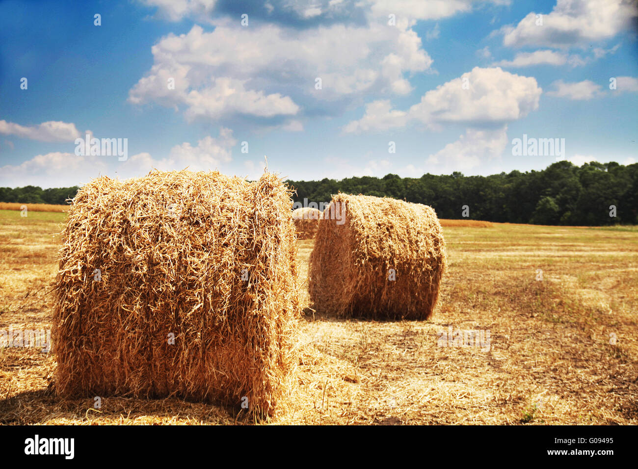 Roll yield hi-res stock photography and images - Alamy