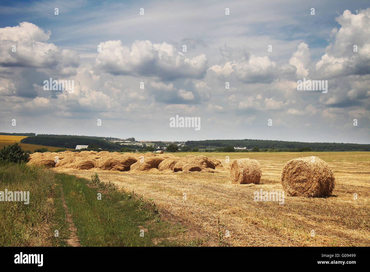 roll of hay Stock Photo - Alamy