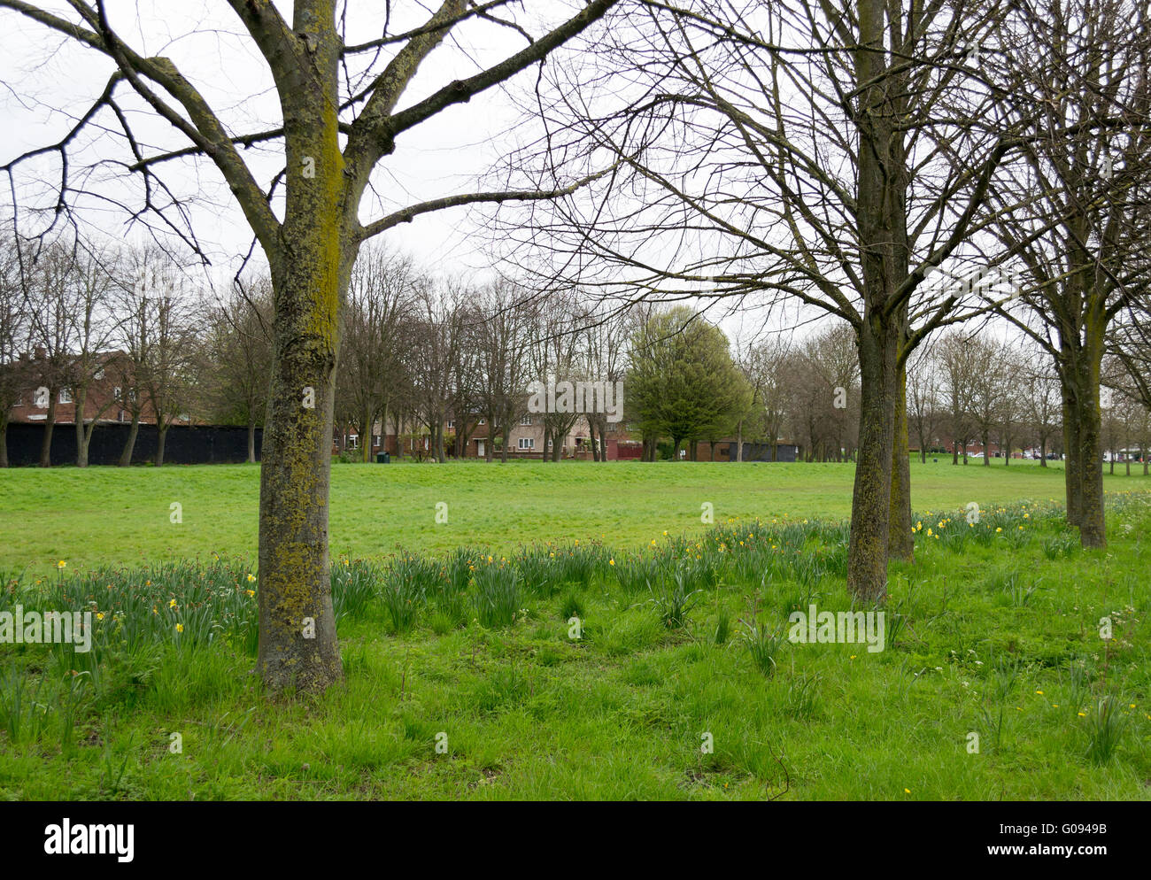 Beautiful european countryside - field and trees Stock Photo - Alamy