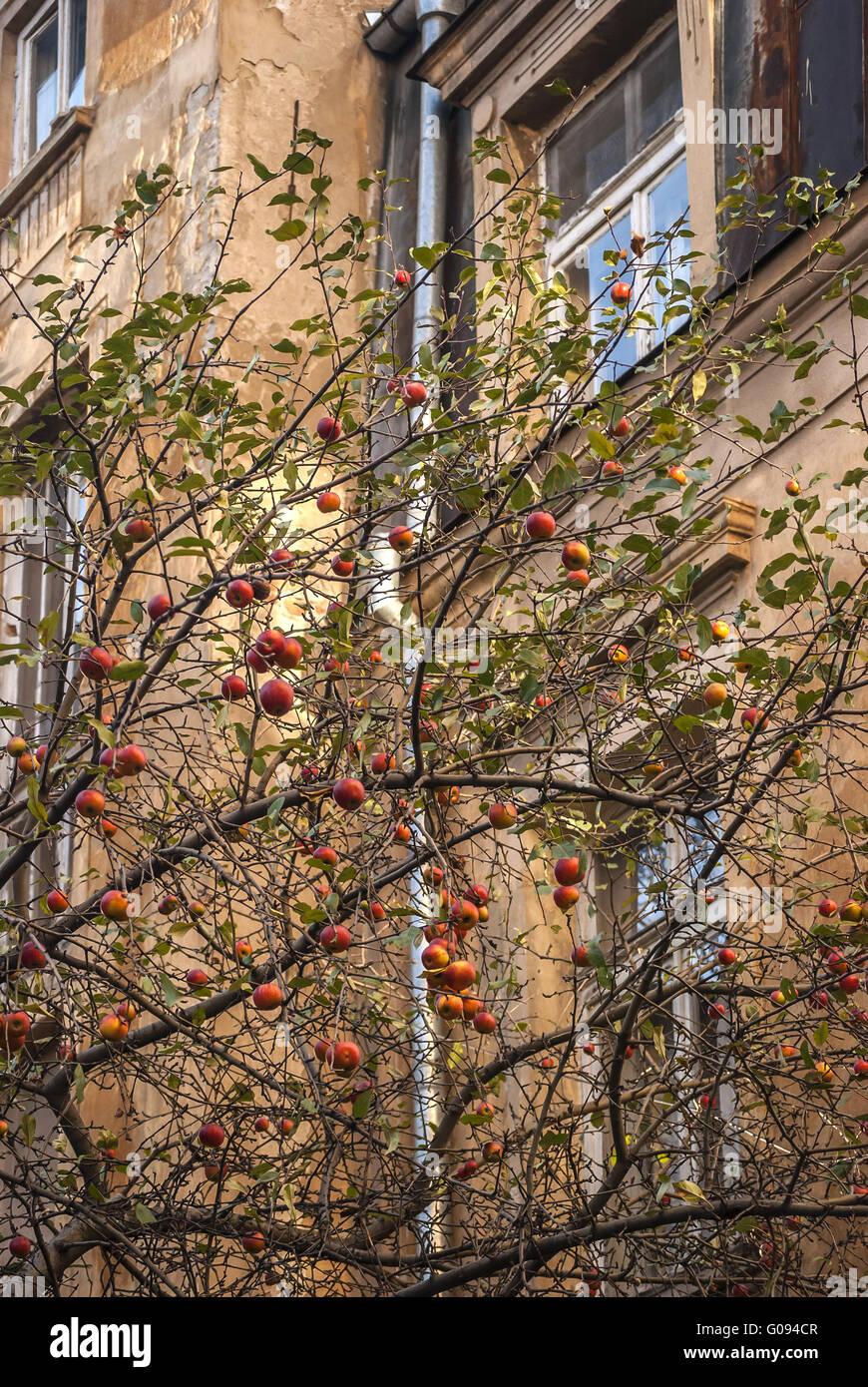 Left tree hi-res stock photography and images - Alamy