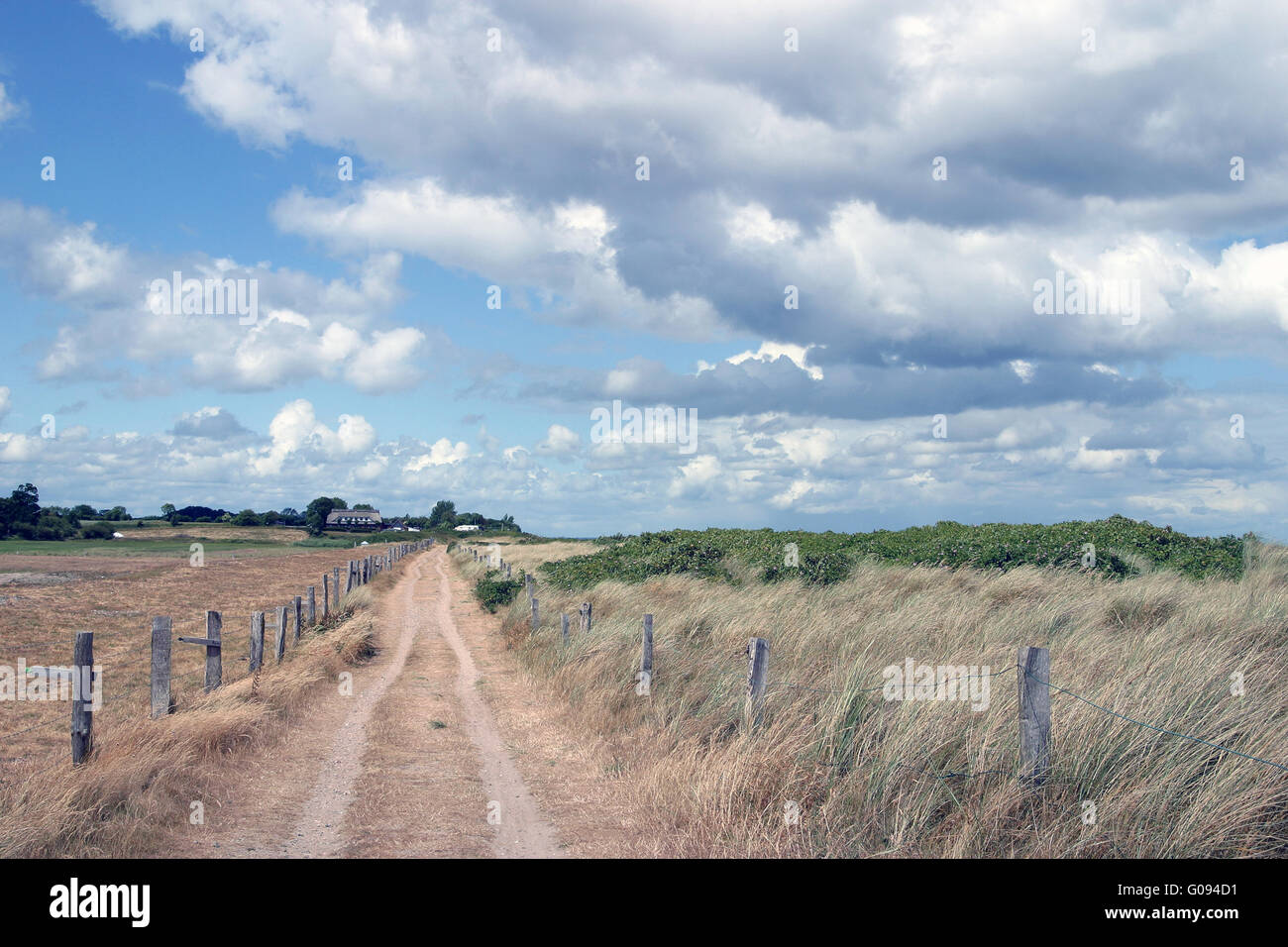 Sky and vegetation hi-res stock photography and images - Alamy