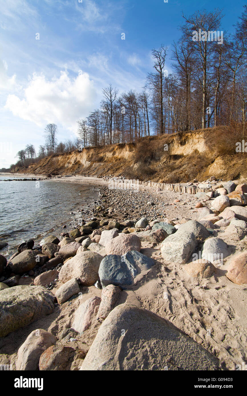 Duenenquecke hi-res stock photography and images - Alamy