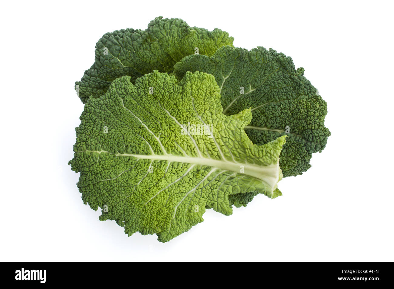 Cabbage leaves isolated on a white background Stock Photo - Alamy