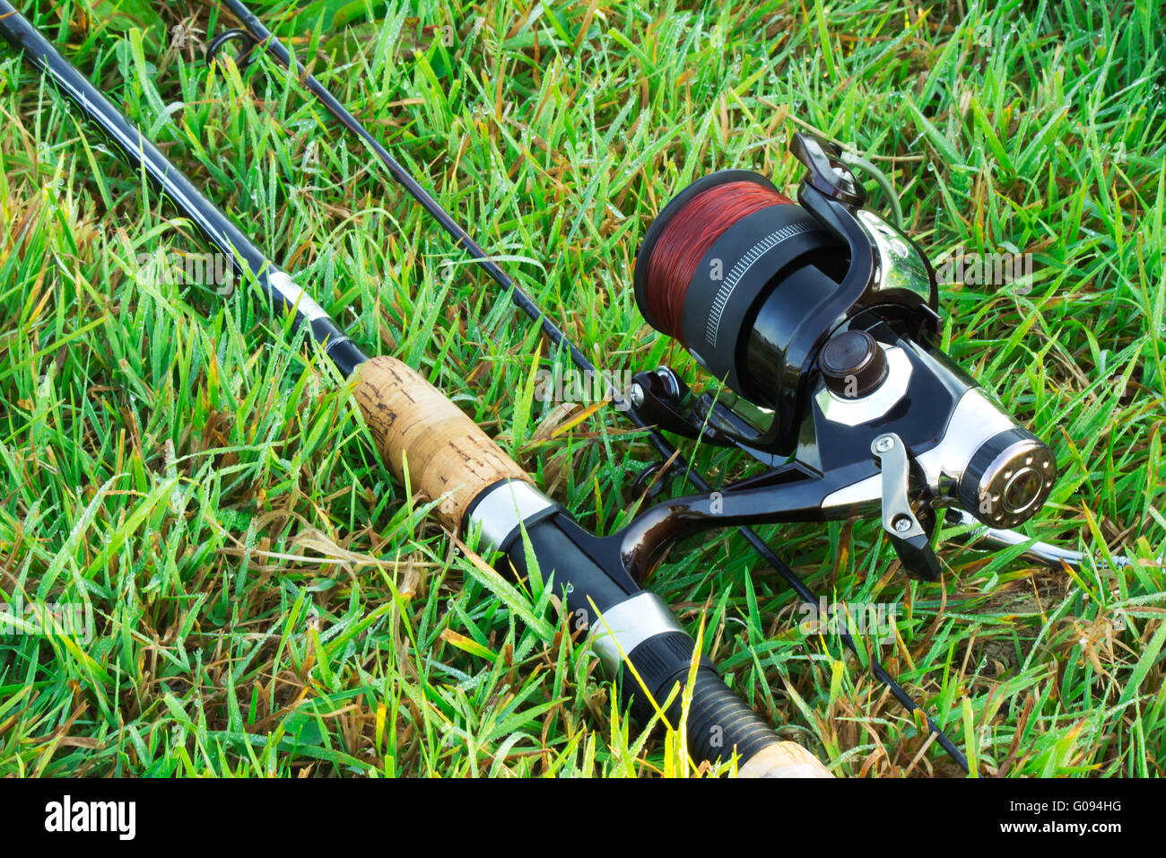 Spinning fishing on the green grass by the river Stock Photo - Alamy