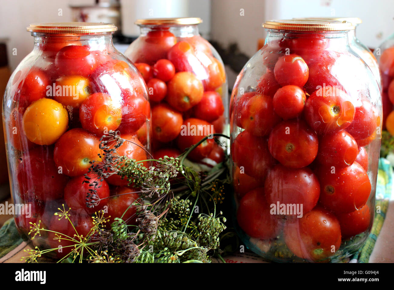 image of tomatos in jars prepared for preservation Stock Photo - Alamy
