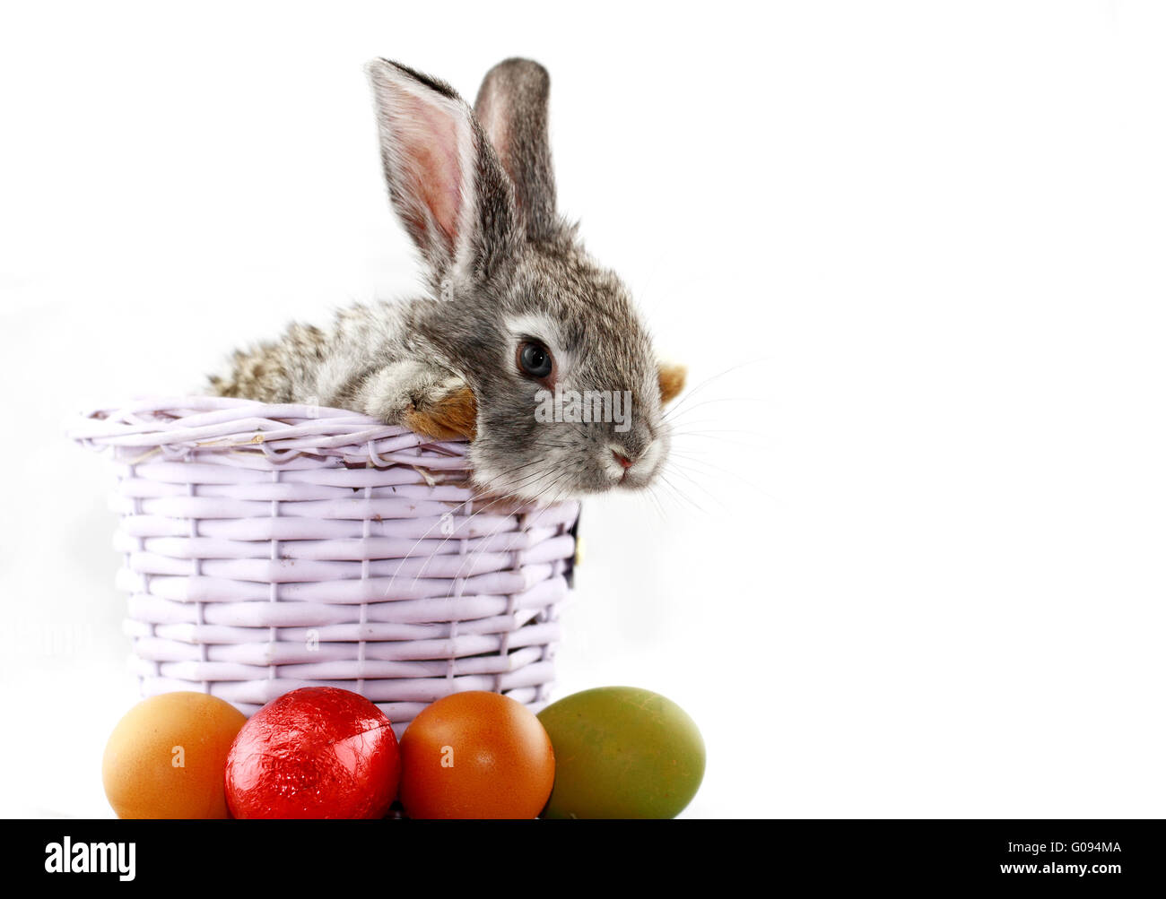 Rabbit in basket hi-res stock photography and images - Alamy