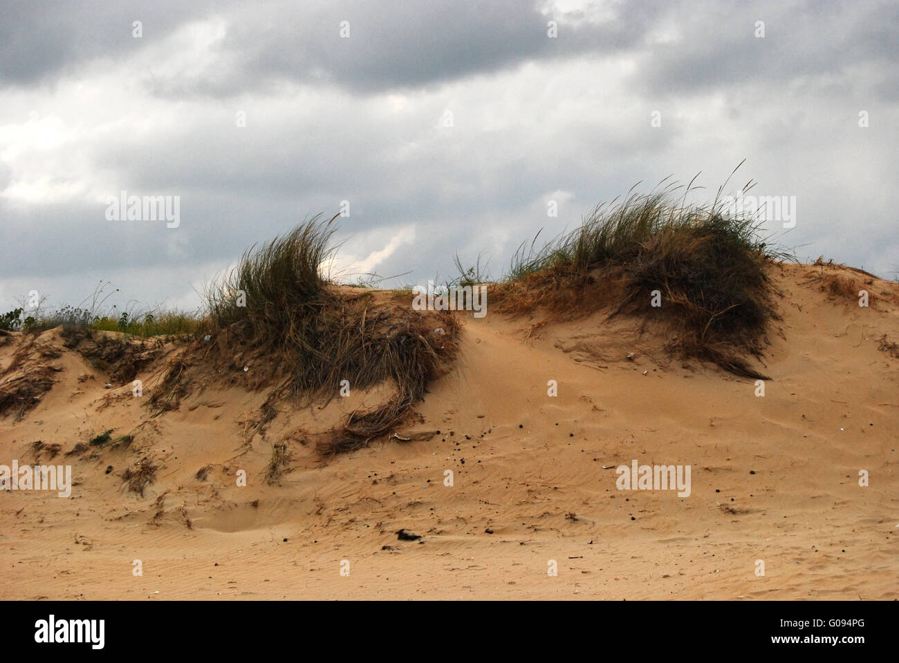 Sand dune near sea beach closeup on cloudy sky bac Stock Photo - Alamy