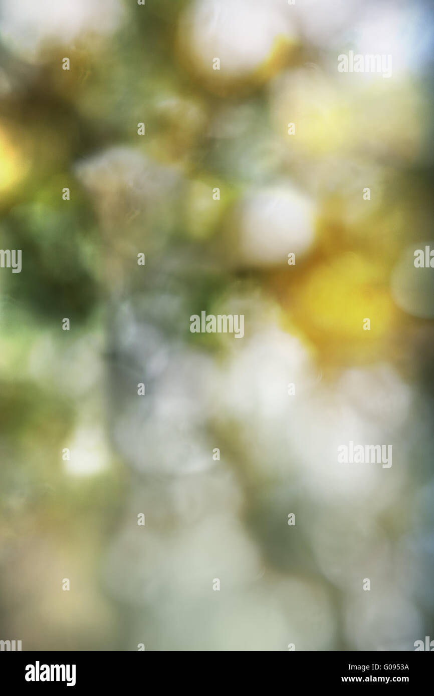 Defocused light effect background Stock Photo - Alamy