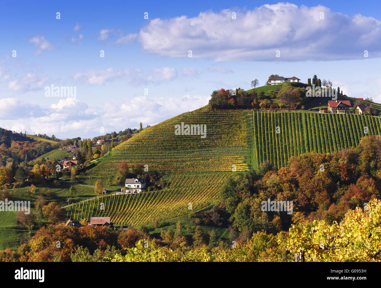 Southern Styria wine route in autum Stock Photo - Alamy
