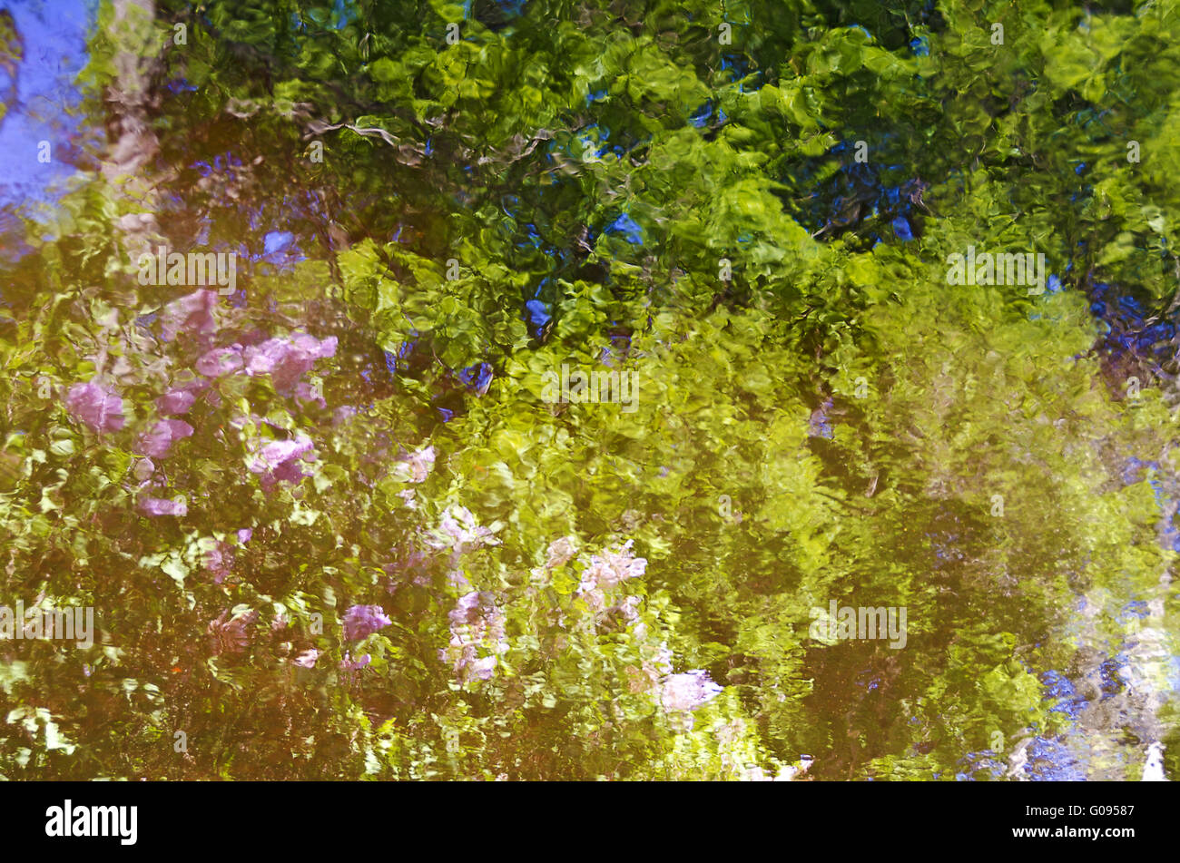 Reflection of flowers and trees in a small river Stock Photo - Alamy