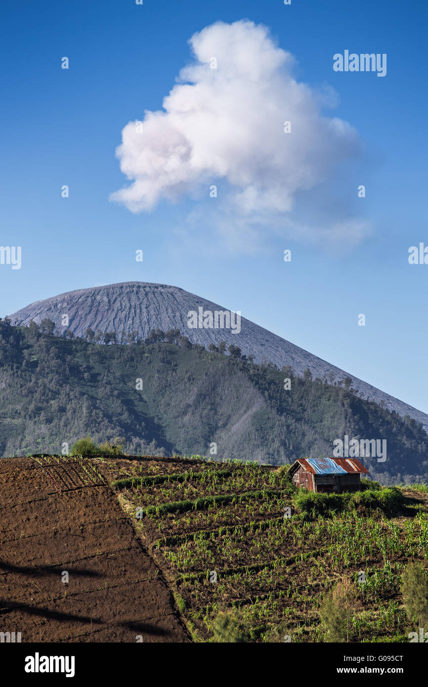 Semeru east java hi-res stock photography and images - Alamy