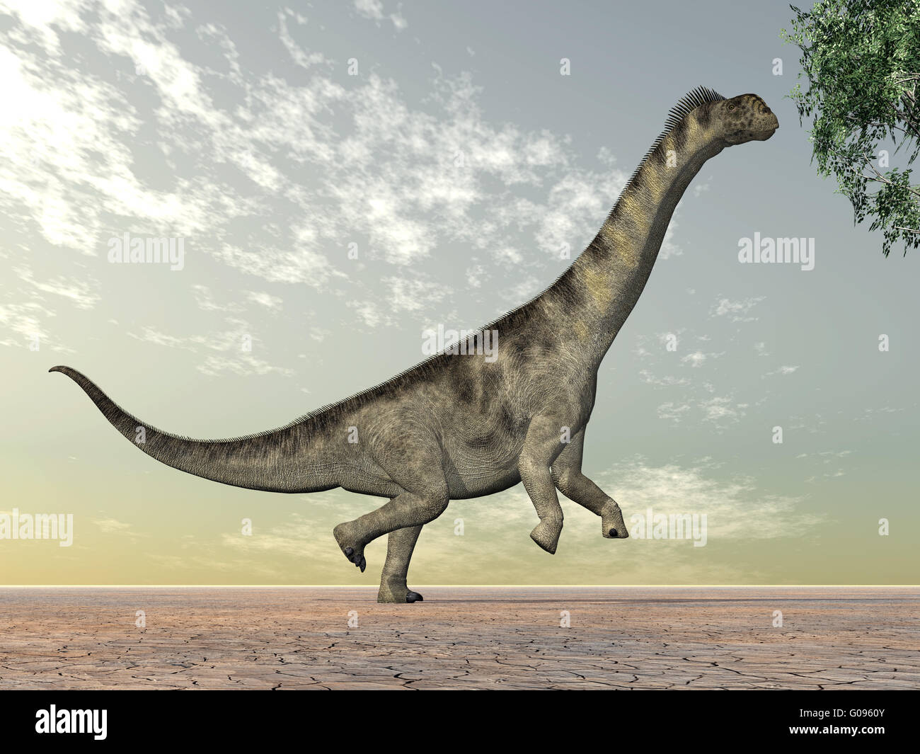 Camarasaurus hi-res stock photography and images - Alamy