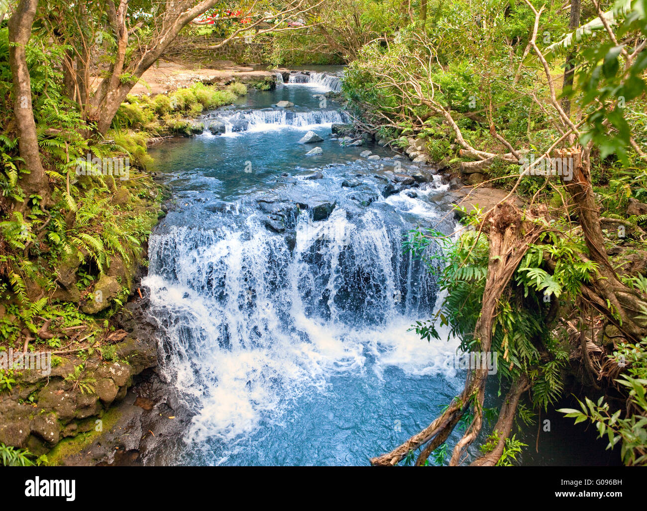 river with thresholds in the tropical nature. Maur Stock Photo - Alamy