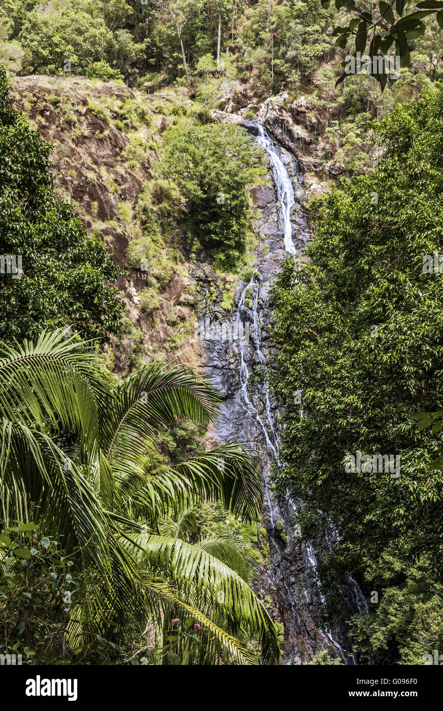 Waterfall In The Rain Forest Queensland Australia Stock Photo - Alamy