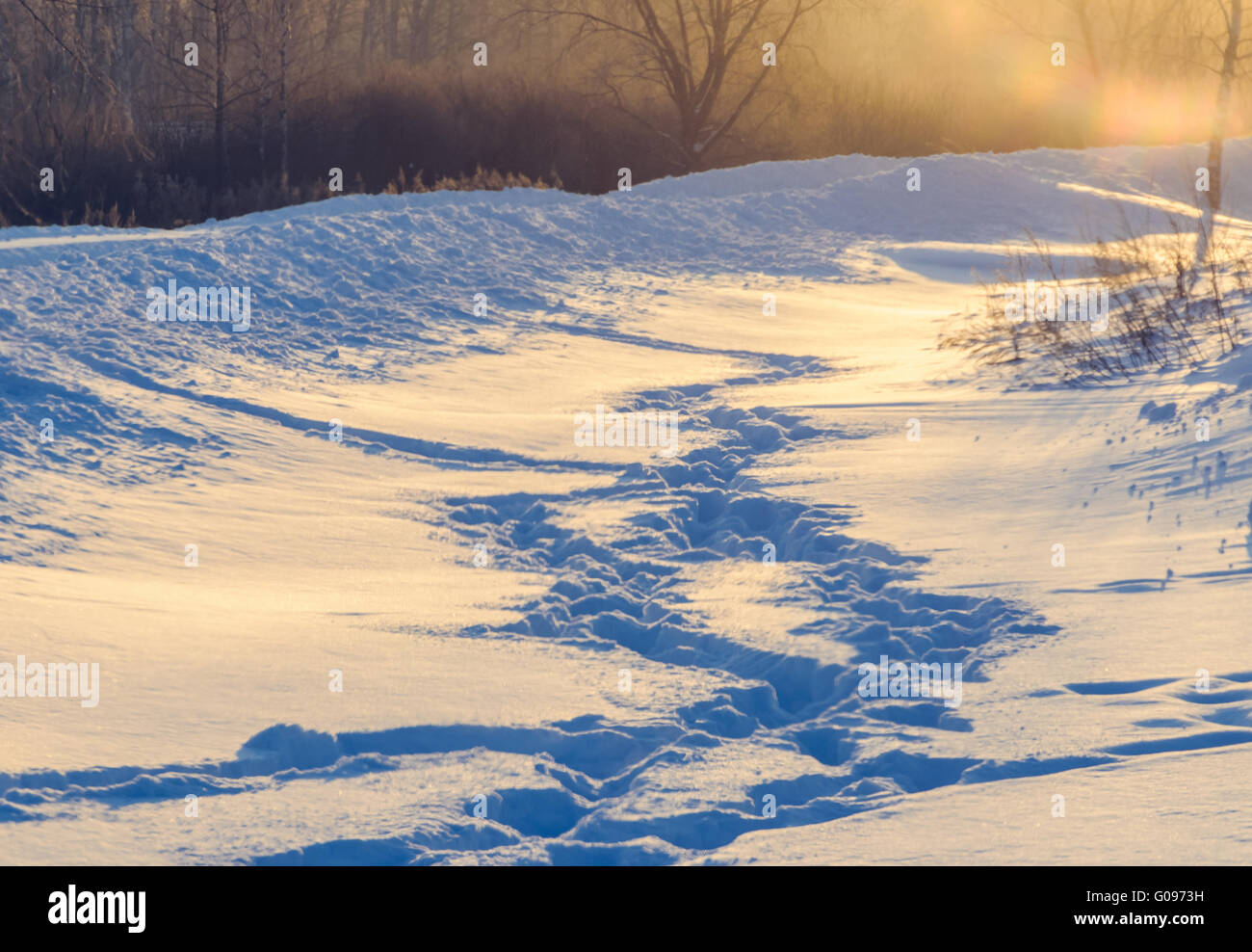 winter human footprints in the snow at sunrise Stock Photo - Alamy