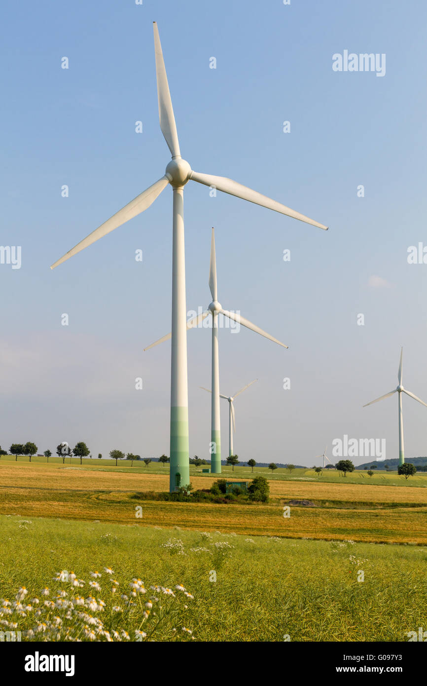 Wind engines with wild meadow and wheat field Stock Photo - Alamy