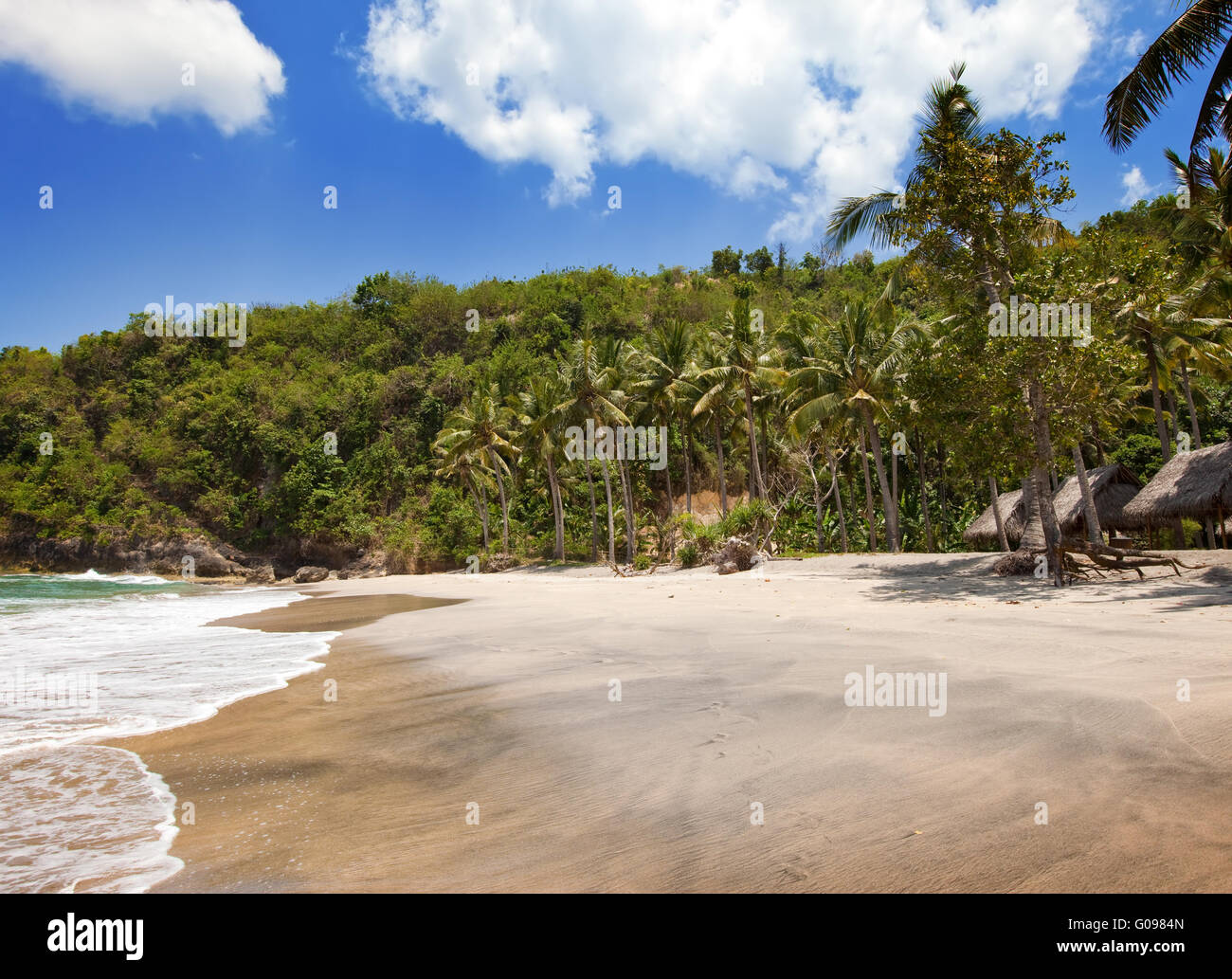 Palm trees on an ocean coast. Indonesia. Bali Stock Photo - Alamy