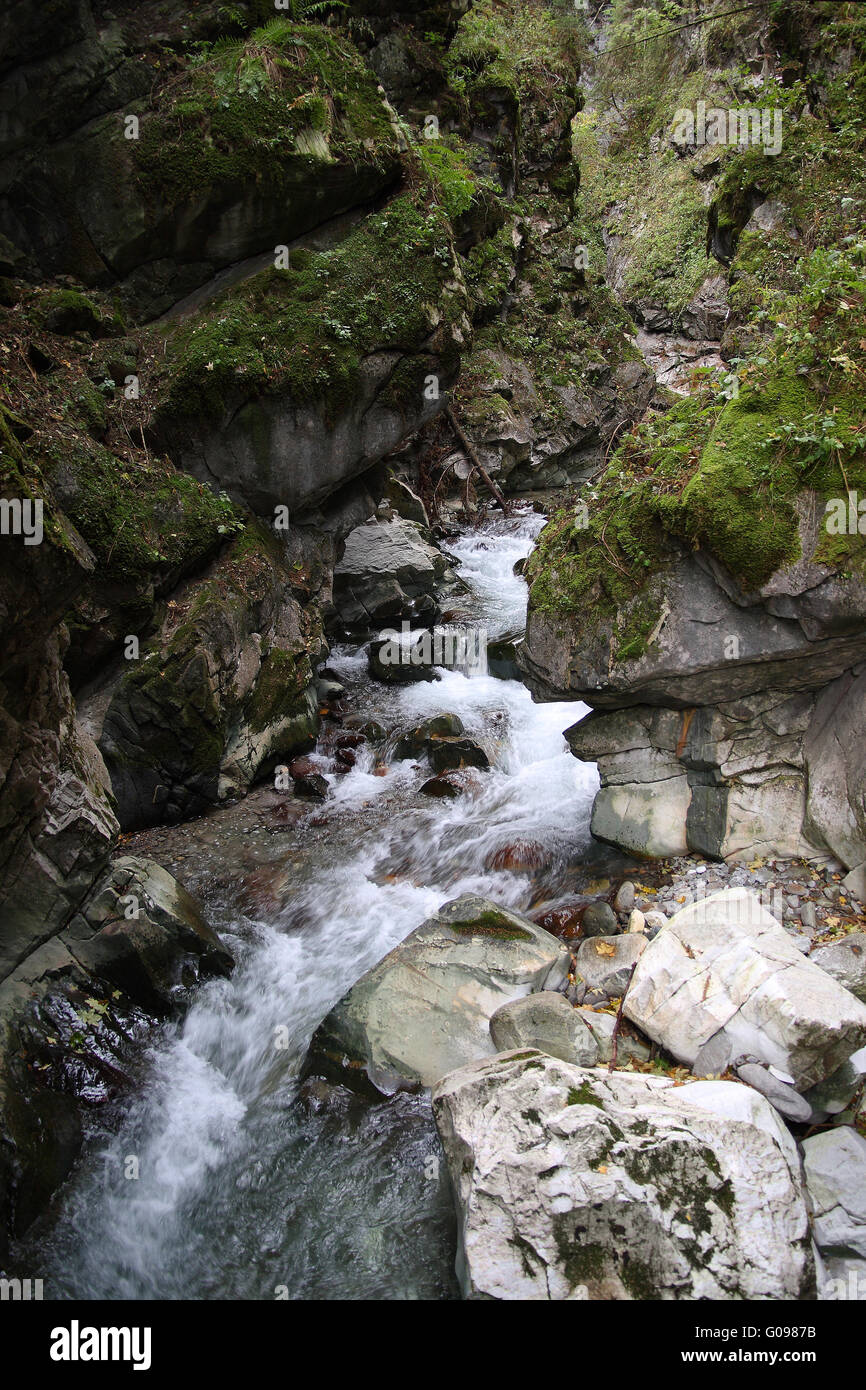 Alpine stream, Gilfenklamm in South Tyrol Stock Photo - Alamy