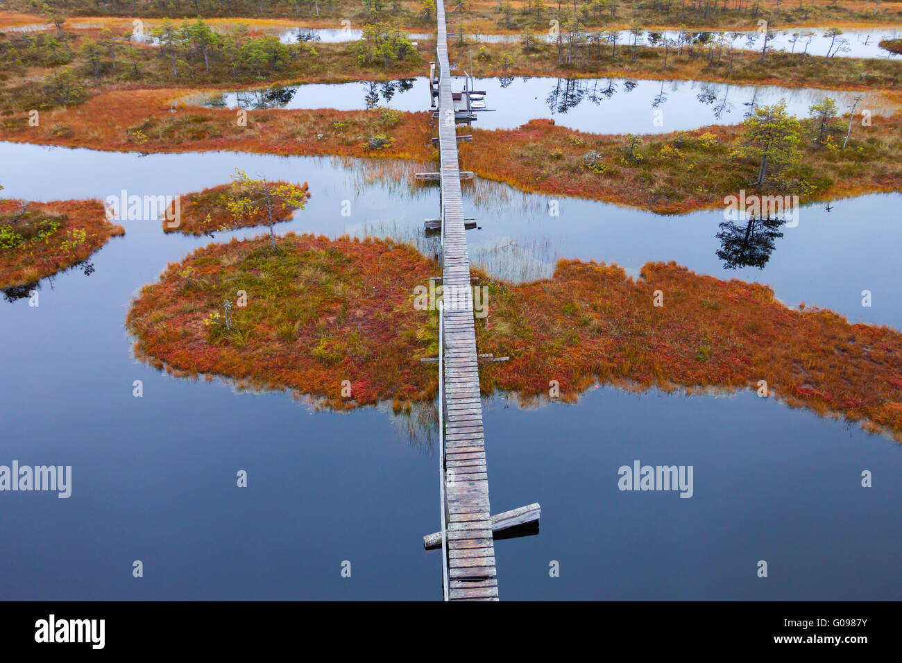 peat bog swamp Europe Stock Photo - Alamy