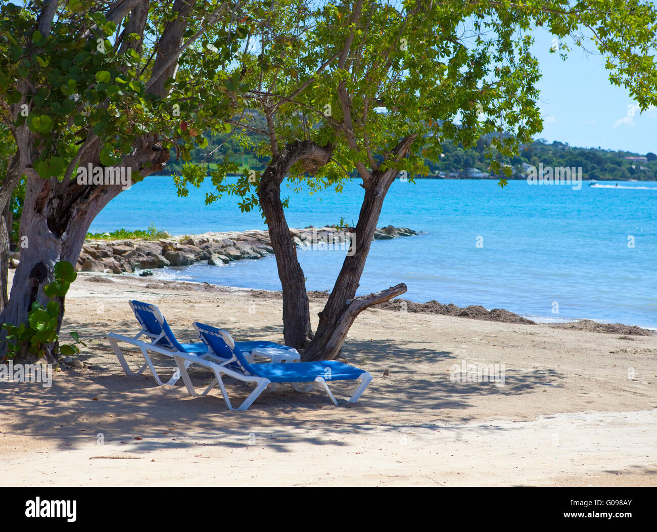 Empty beach chairs in a shadow of trees at the sea Stock Photo - Alamy