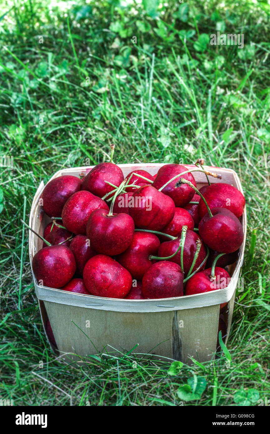 Cherry inside wooden basket Stock Photo - Alamy