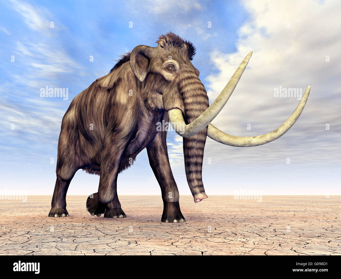 Mammoth ivory hi-res stock photography and images - Alamy