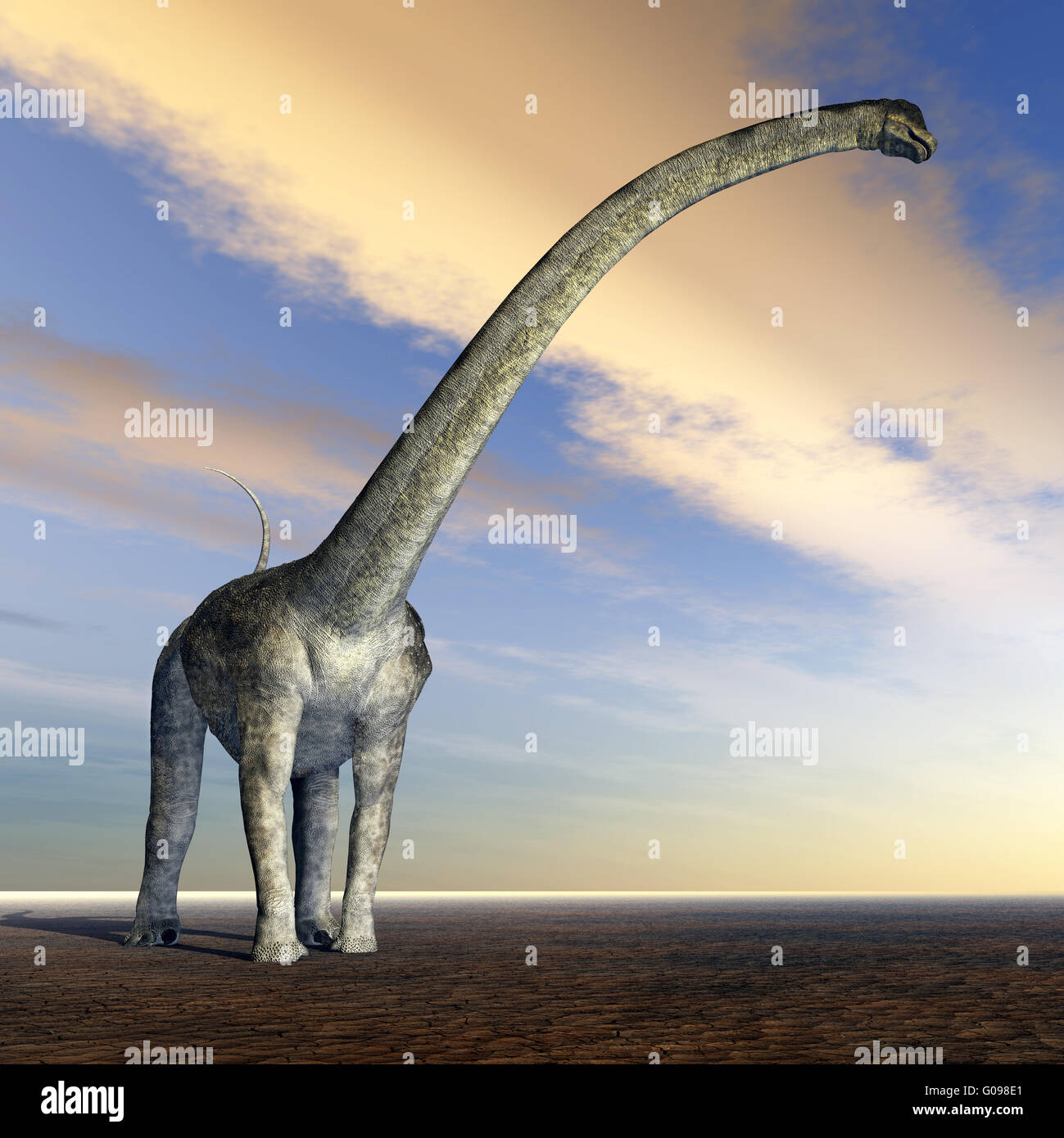 Puertasaurus hi-res stock photography and images - Alamy