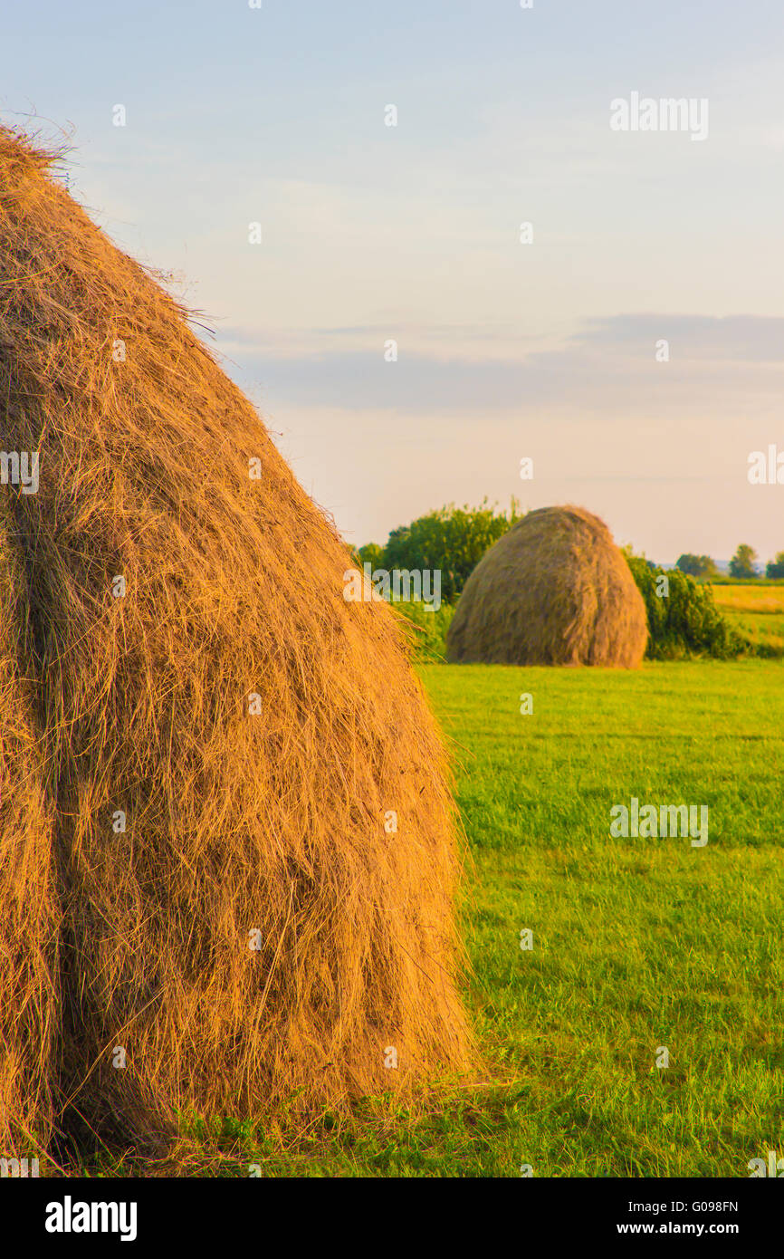 Big field work hi-res stock photography and images - Alamy