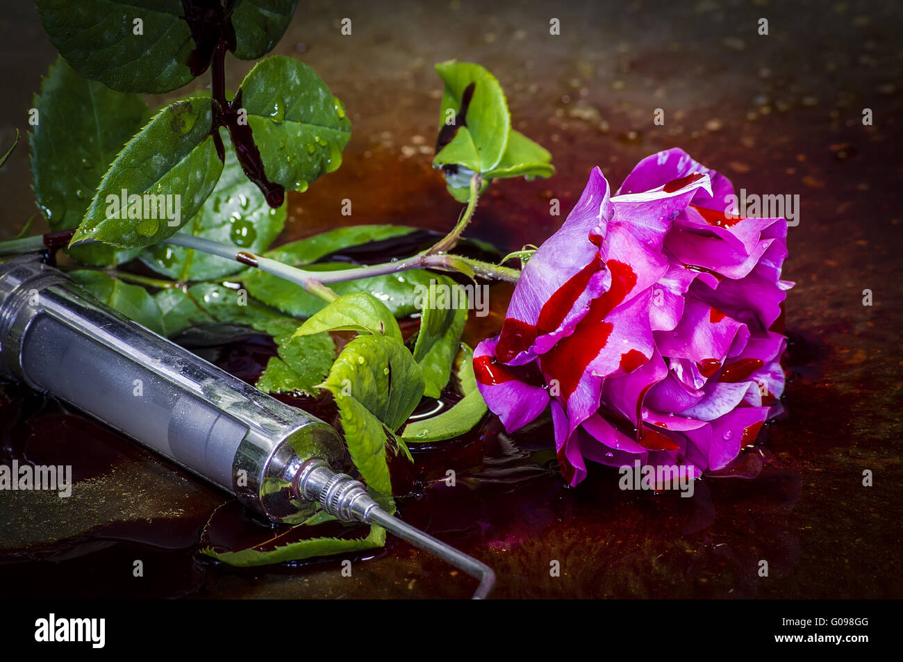 Bloody Black Rose Wallpaper