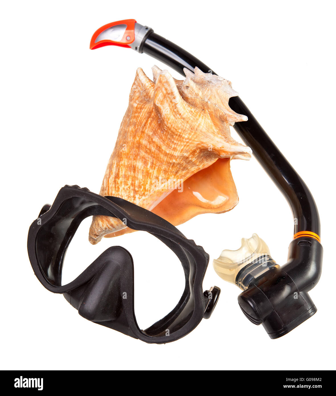 Big sea shell and equipment for diving (snorkel Stock Photo - Alamy