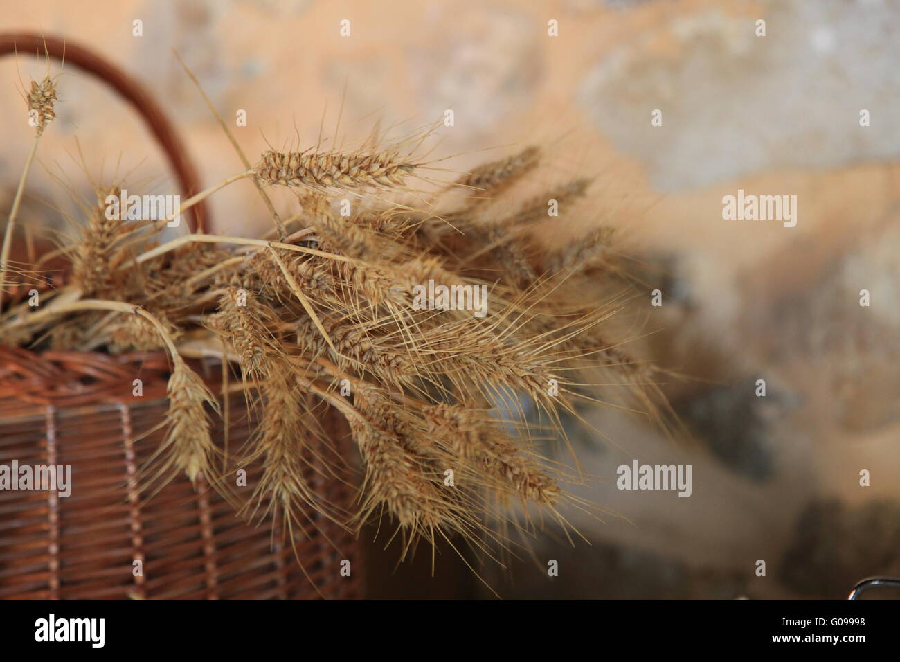 Ripe wheat in a wicker basket Stock Photo - Alamy