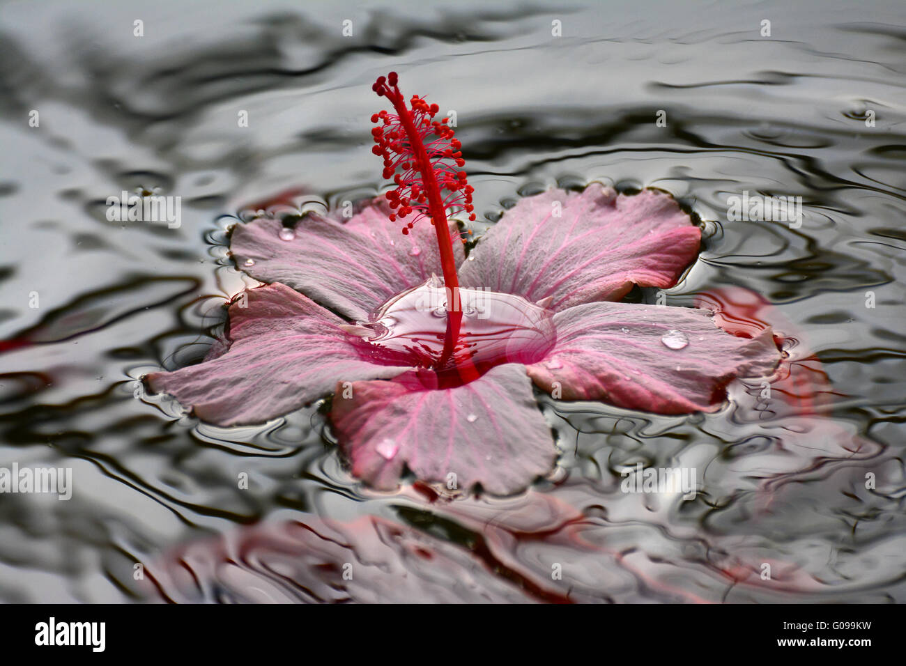 Floating water hi-res stock photography and images - Alamy