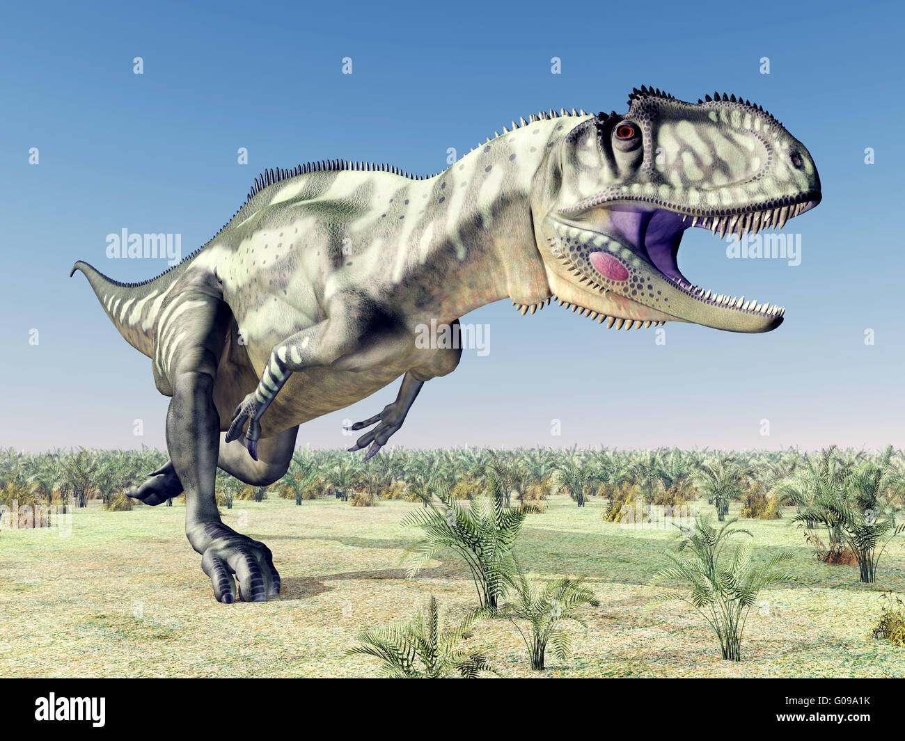 Yangchuanosaurus hi-res stock photography and images - Alamy